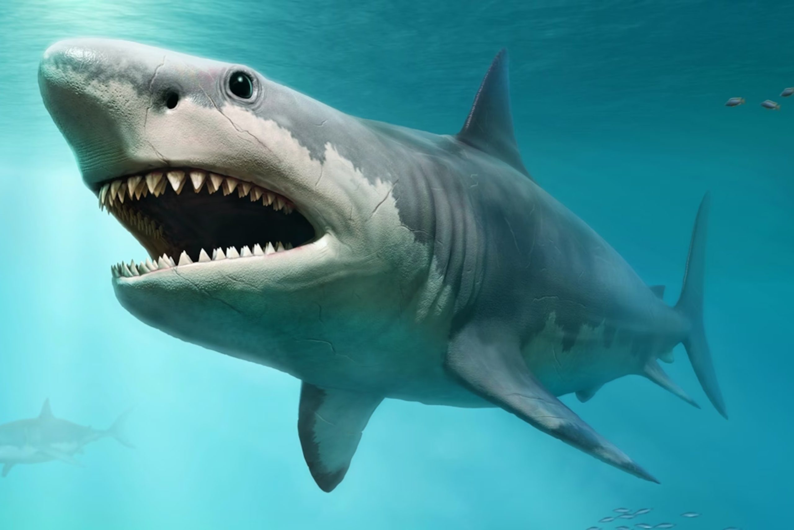 National Megalodon Day June 15 – Calendar.cx